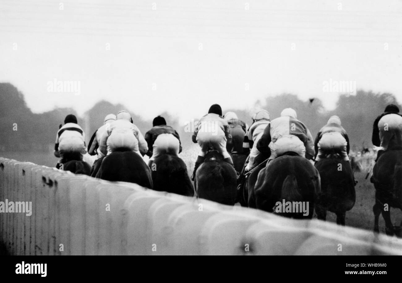 Image of horse racing hi-res stock photography and images - Alamy