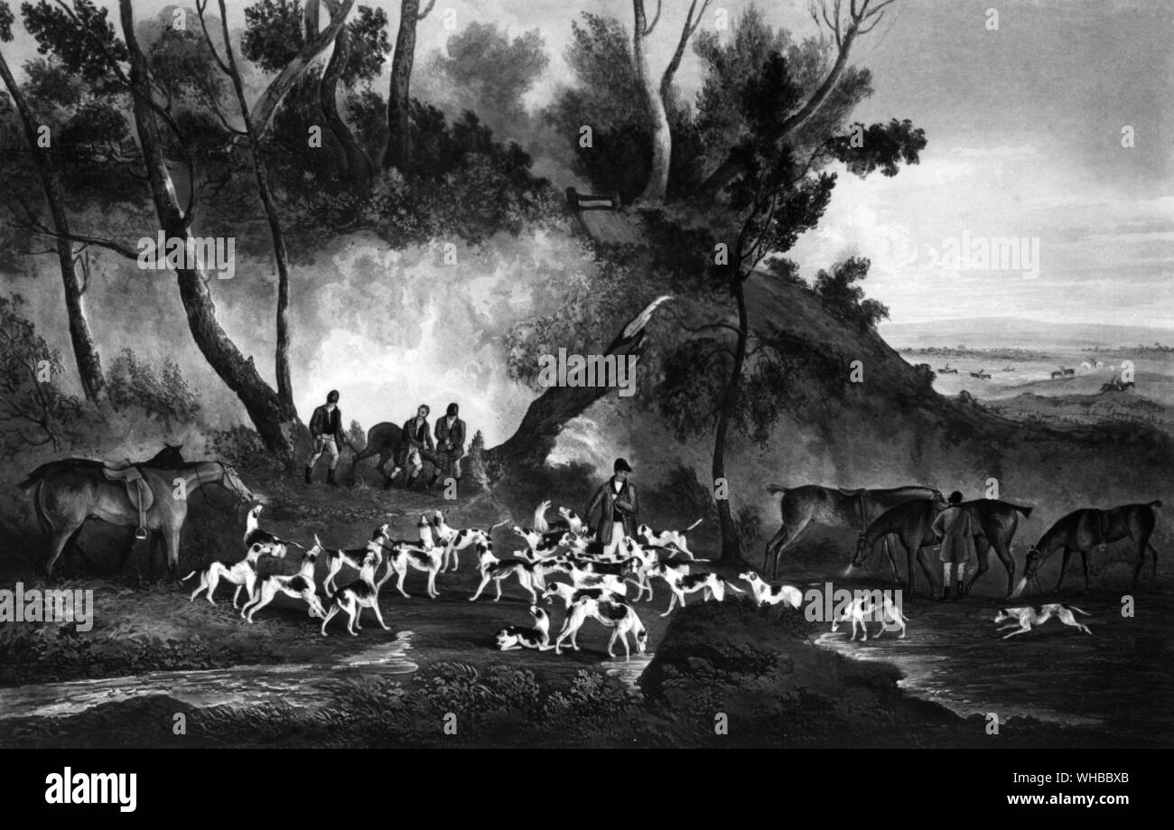 Stag hunt hi-res stock photography and images - Alamy