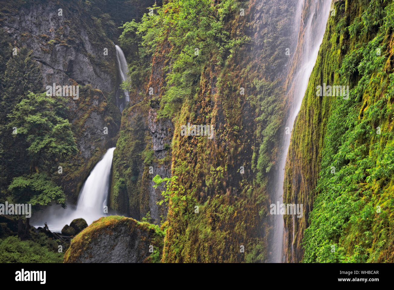 Spring volume of water pours over Wahclella Falls and this seasonal ...