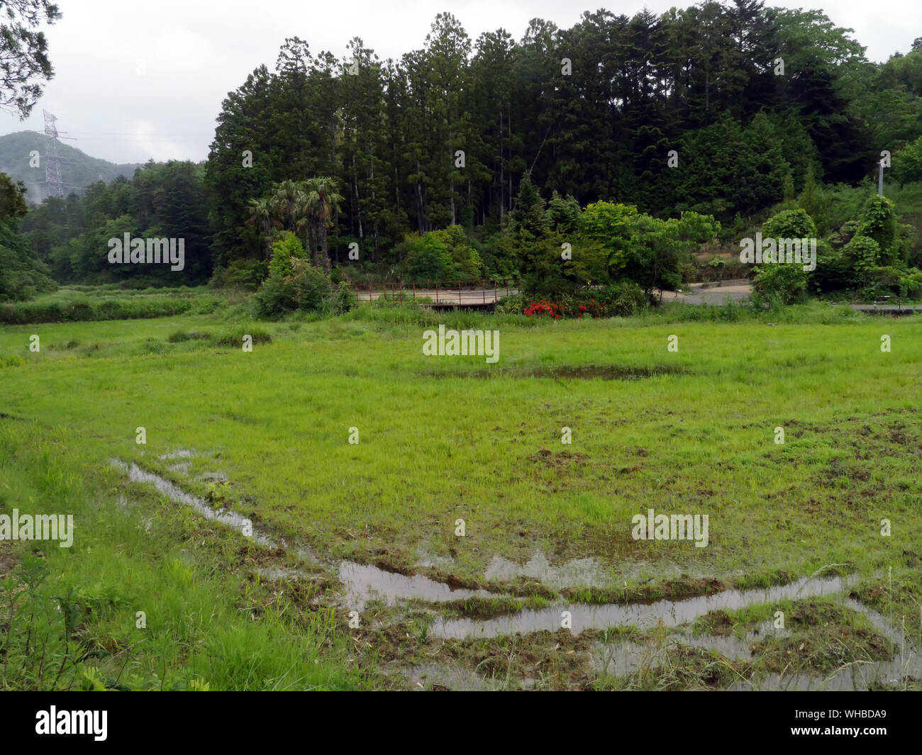 Visiting Minamisoma, in Haramachiku District, a town badly affected by ...