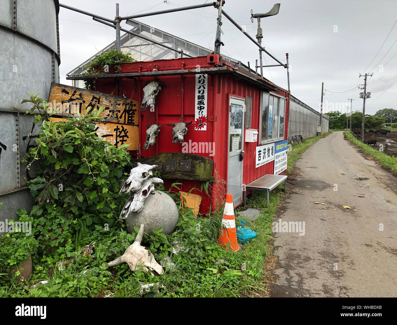 Visiting the area of Fukushima badly affected by radiation after the ...