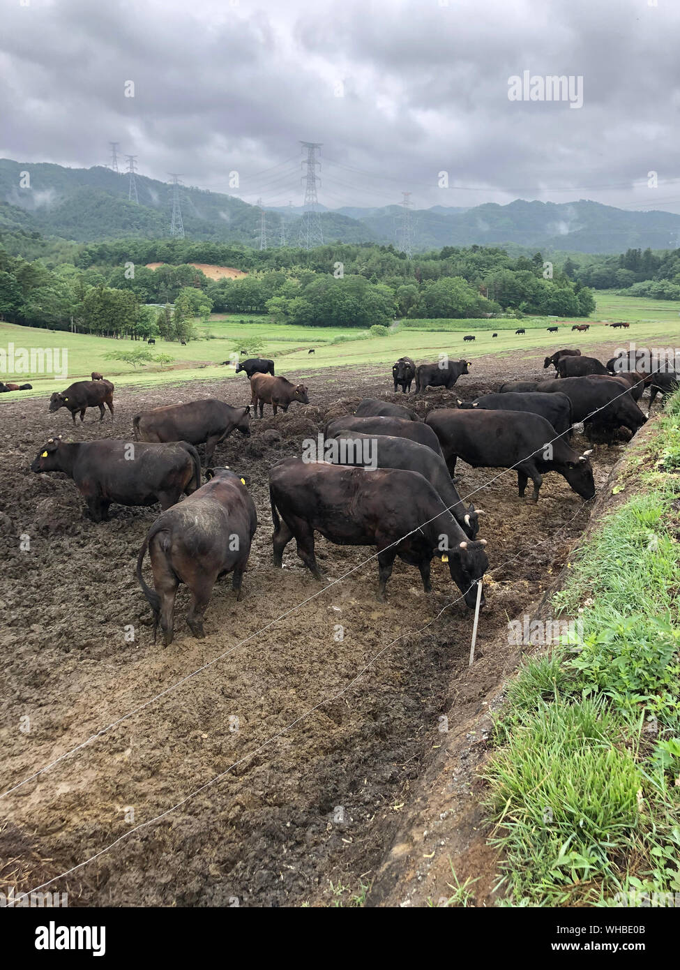 Visiting the area of Fukushima badly affected by radiation after the ...
