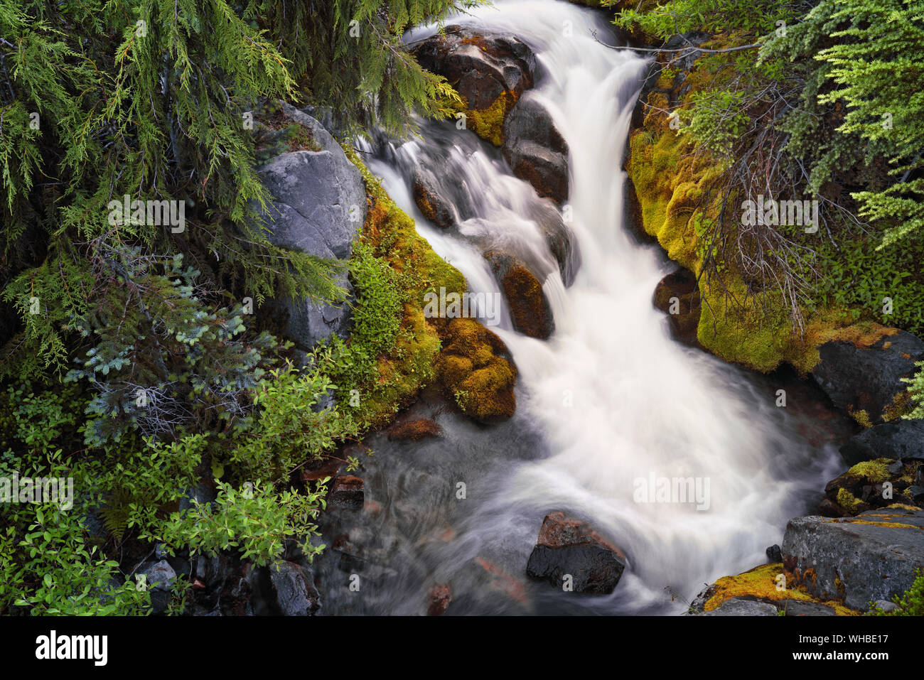 Mt rainier lodge hi-res stock photography and images - Alamy