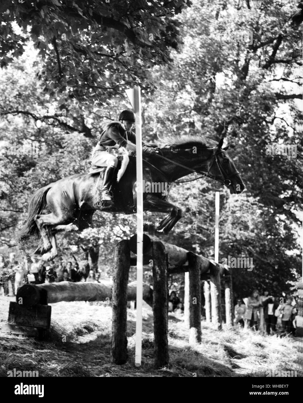 Princess Anne riding Doublet fence no 15 The Logs . Badminton Stock ...