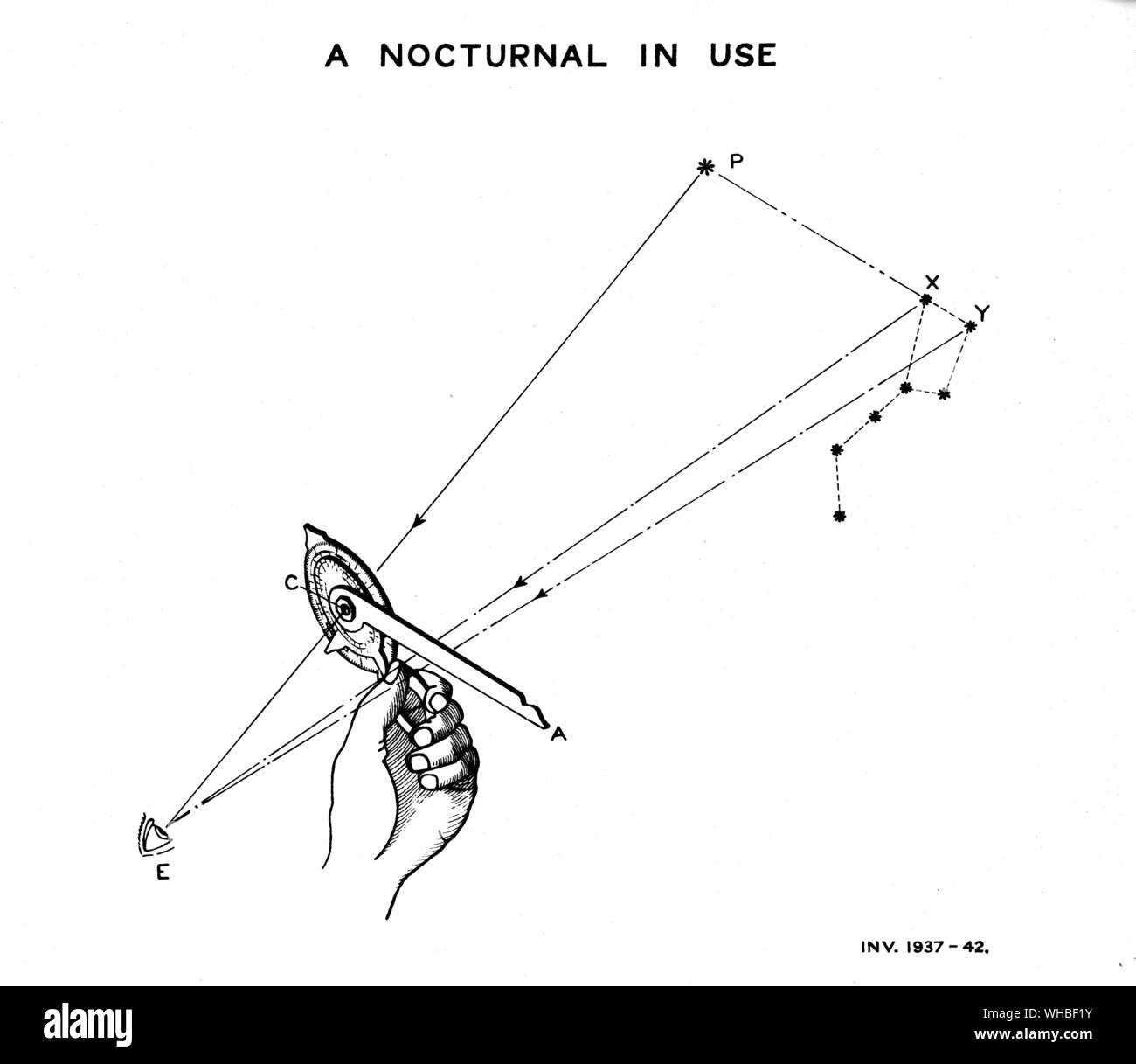 Nocturnal clock hi-res stock photography and images - Alamy