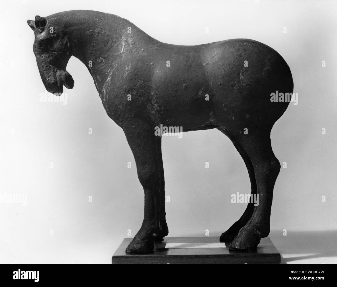 Cast horse hi-res stock photography and images - Alamy