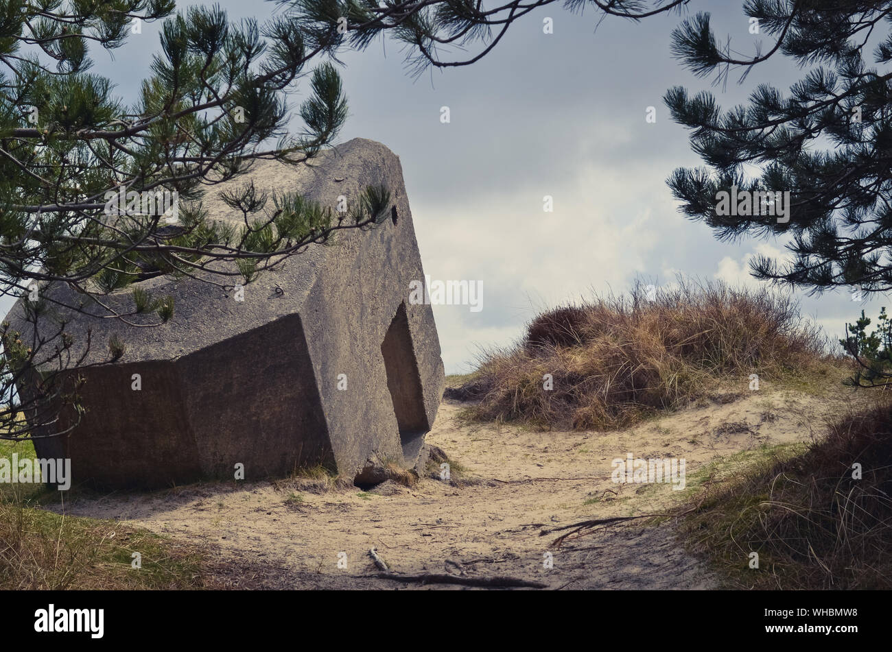 Ground level branch hi-res stock photography and images - Alamy