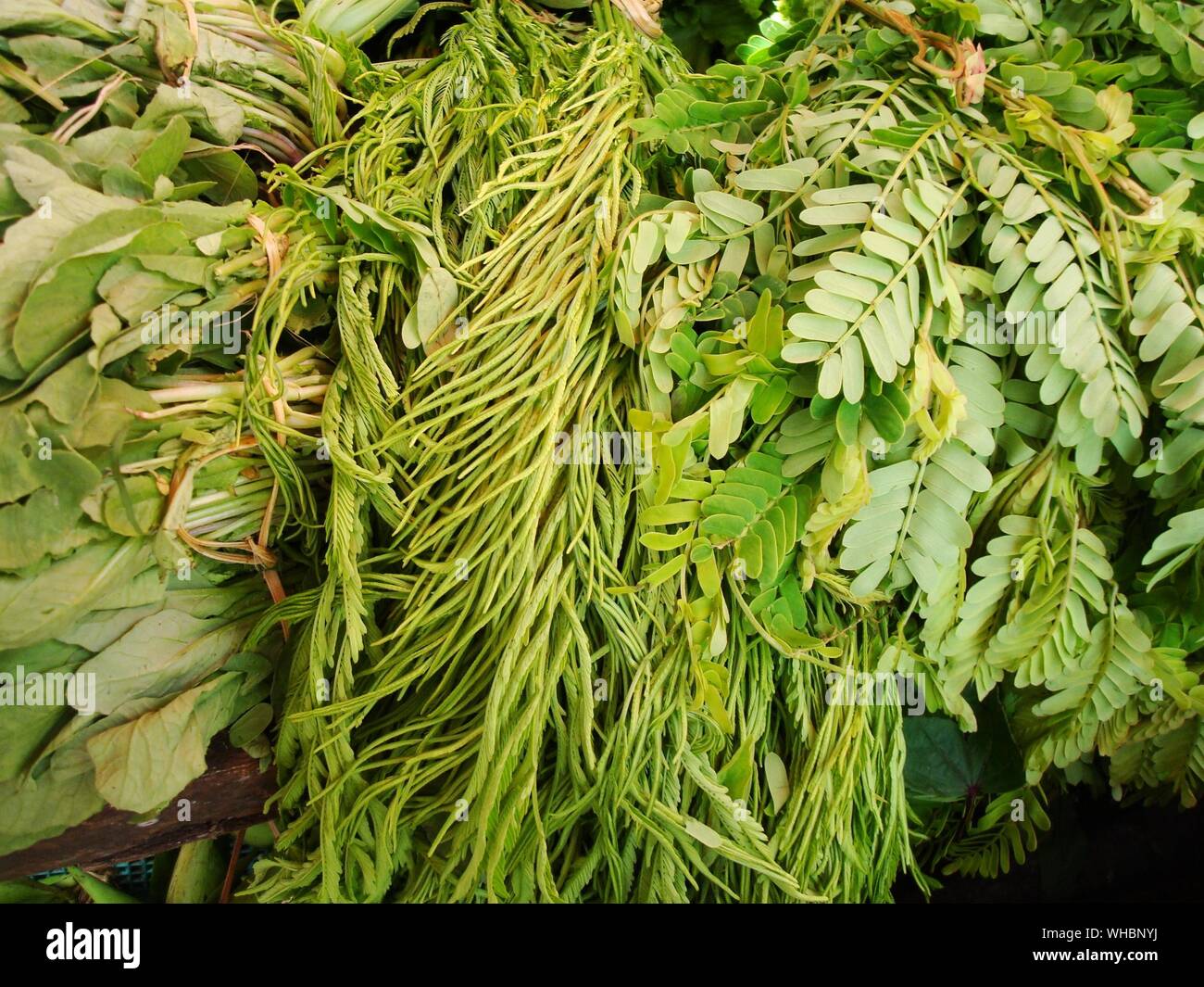Green leafy vegetables hi-res stock photography and images - Alamy