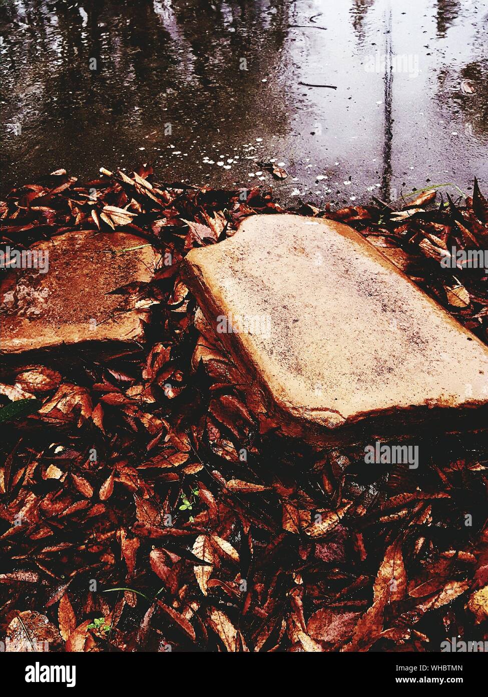 Wet and dry season hi-res stock photography and images - Alamy