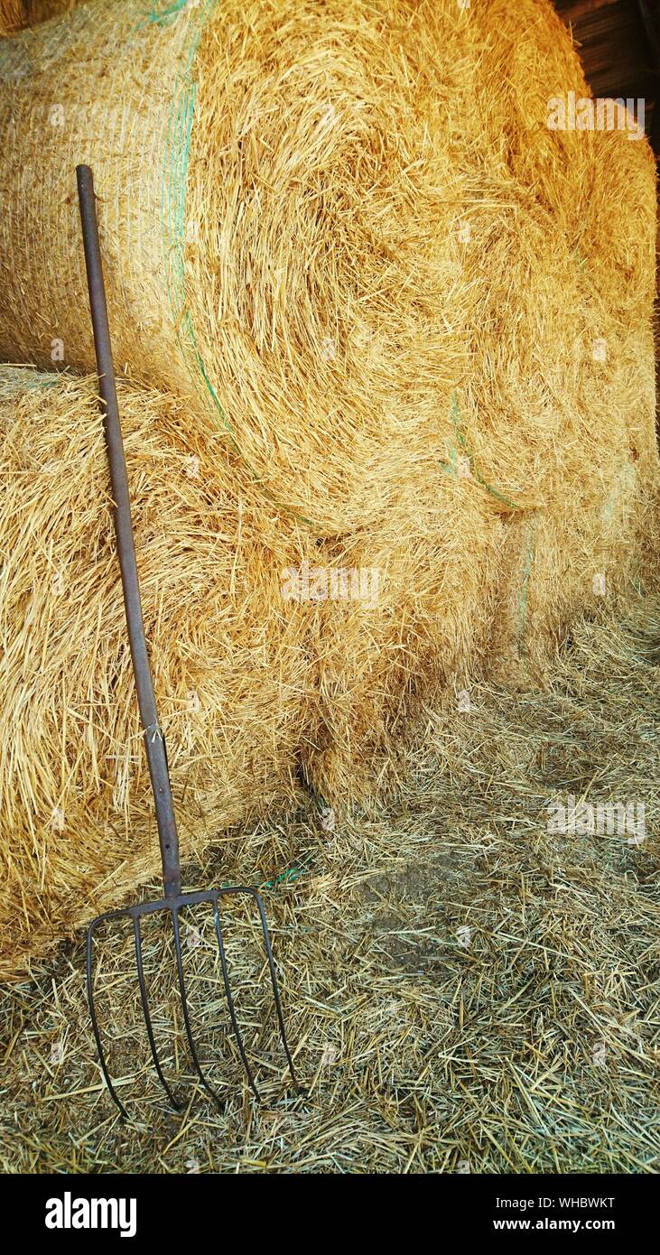 Hay fork hi-res stock photography and images - Alamy