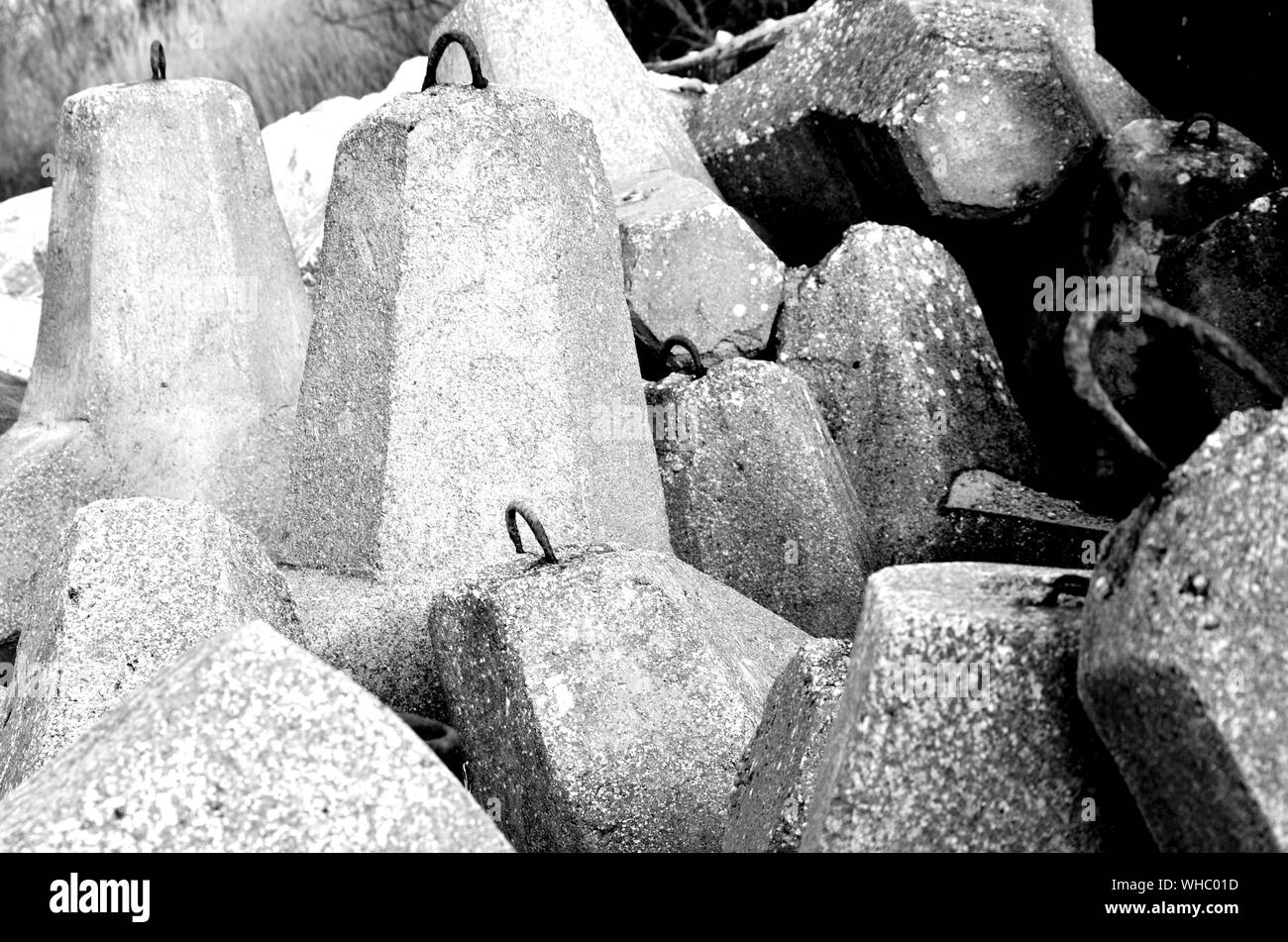 Tetrapod High Resolution Stock Photography and Images - Alamy