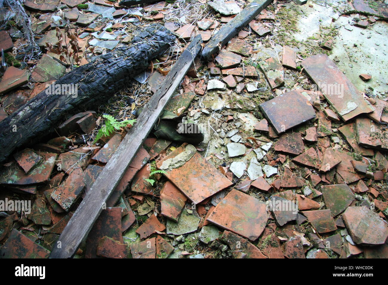 Broken Tiles On Messy Floor Of Abandoned House Stock Photo - Alamy