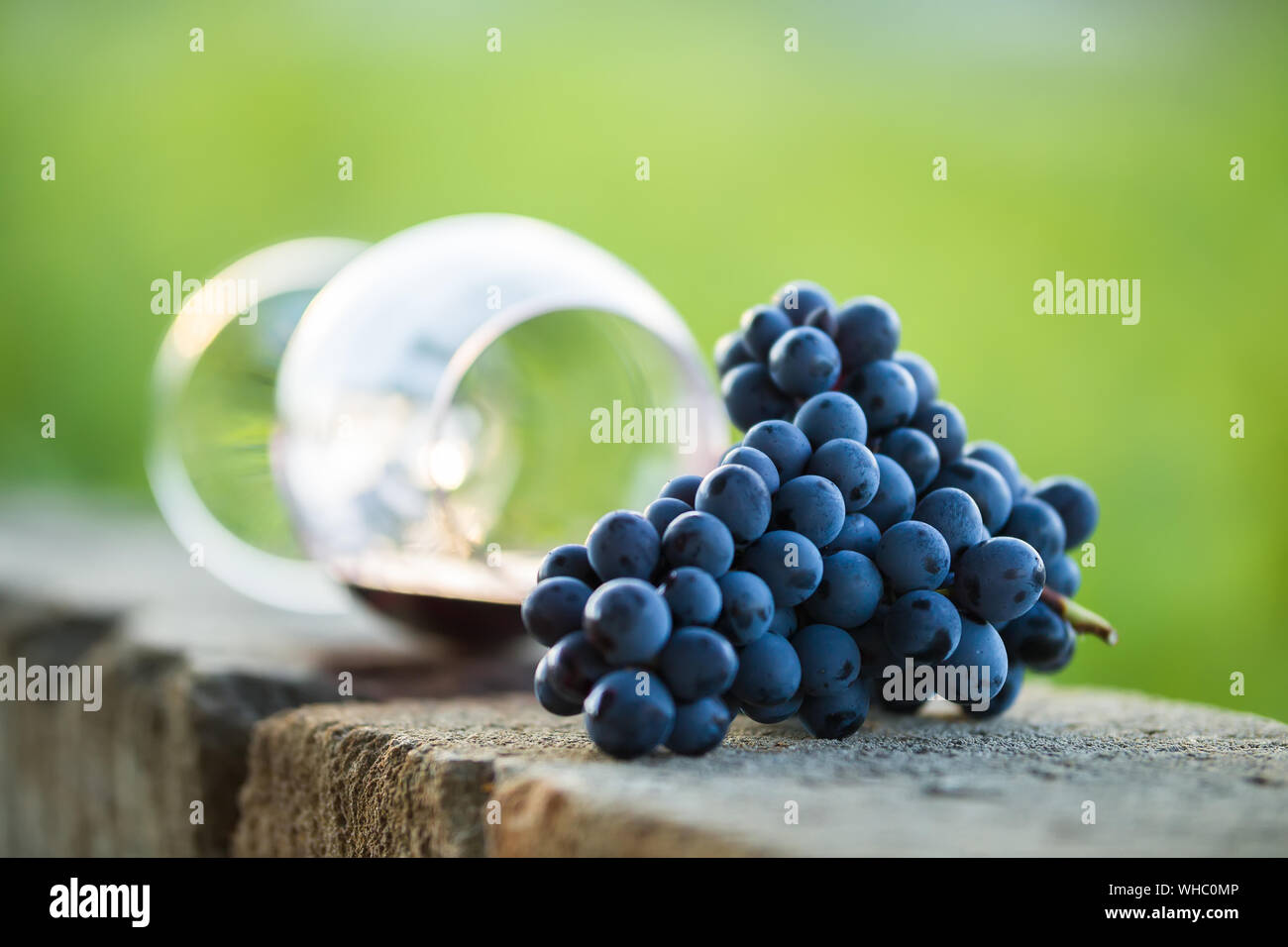 Spilled red wine carpet hi-res stock photography and images - Alamy