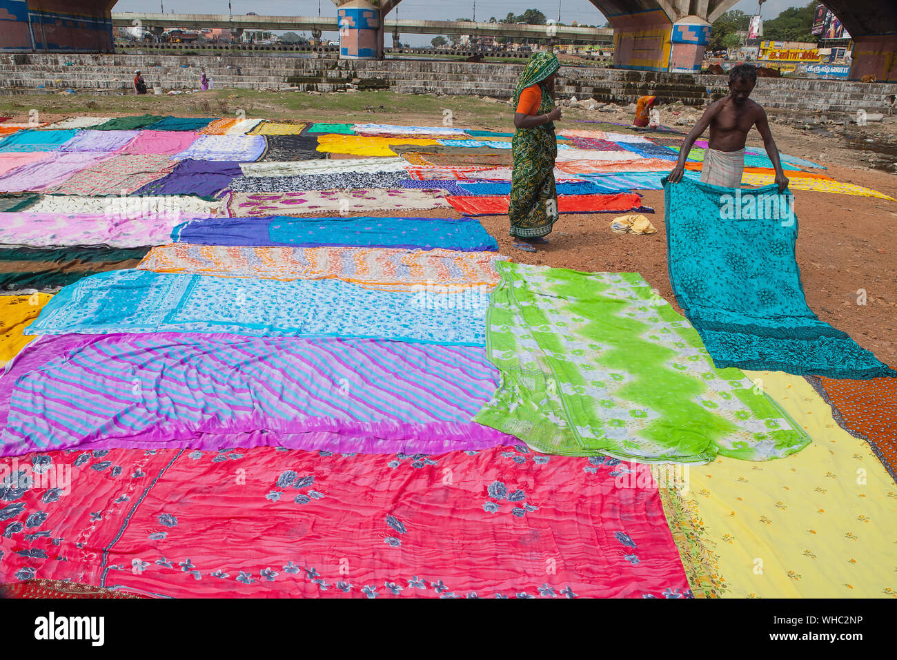 India, Tamil Nadu, Madurai, Dhobi wallahs spread out laundered saris to ...