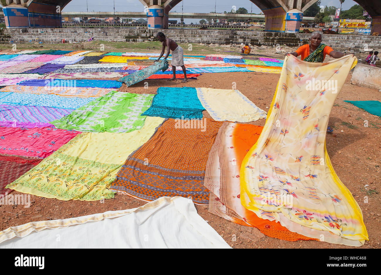 India, Tamil Nadu, Madurai, Dhobi wallahs spread out laundered saris to ...