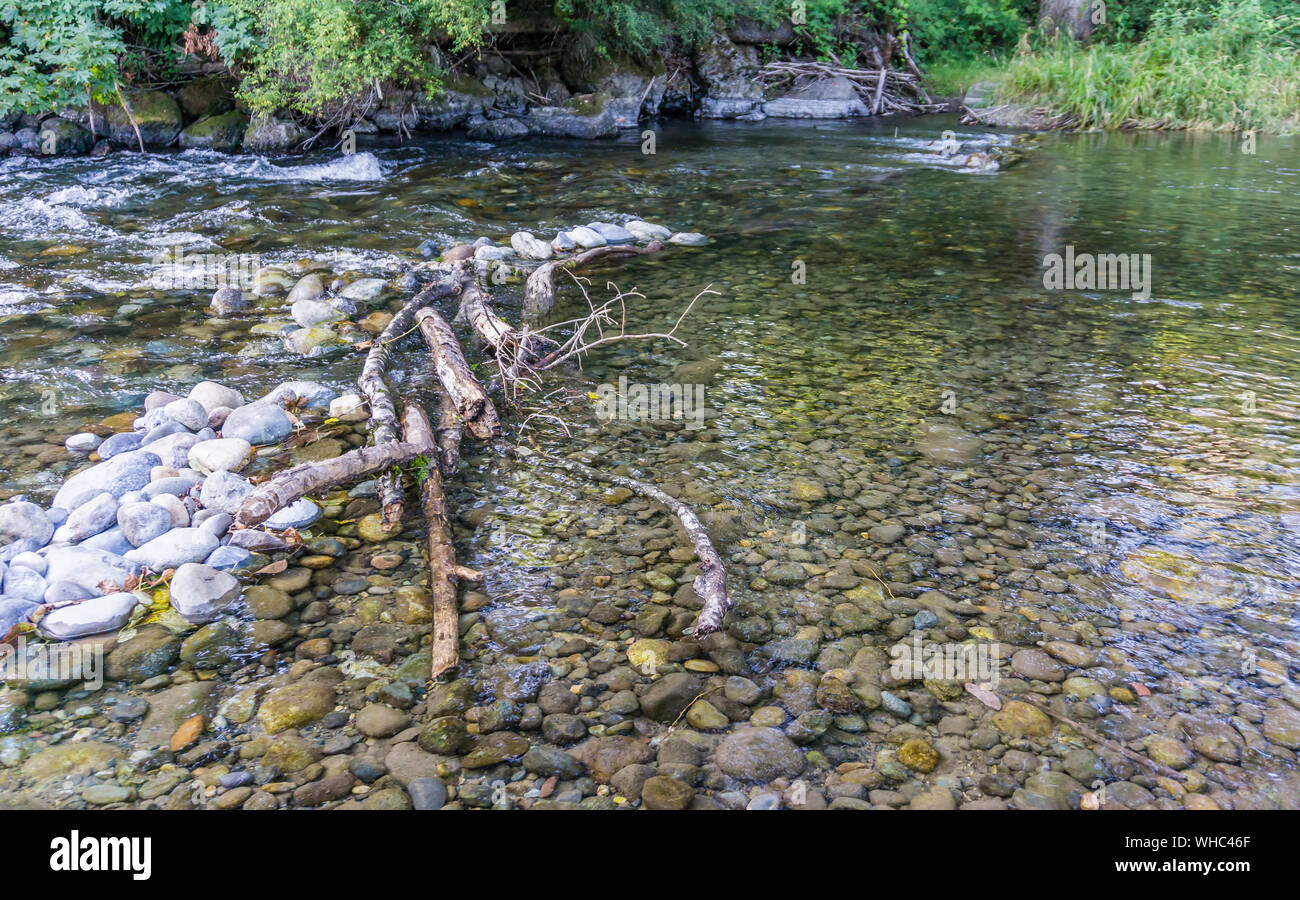 The Cedar River flows over rocks in Maple Valley, Washington Stock ...