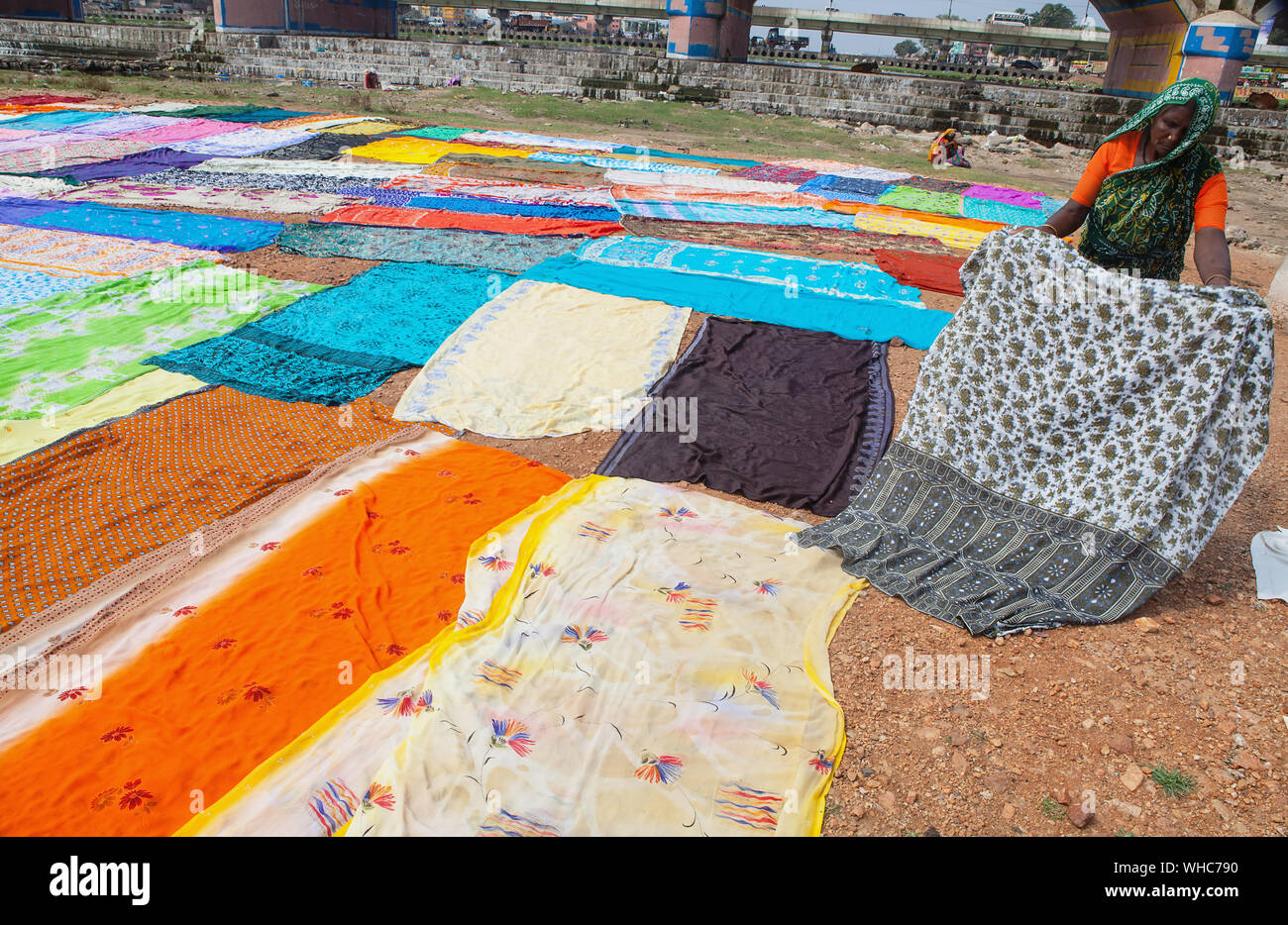 India, Tamil Nadu, Madurai, A dhobi wallah spreads out laundered saris ...