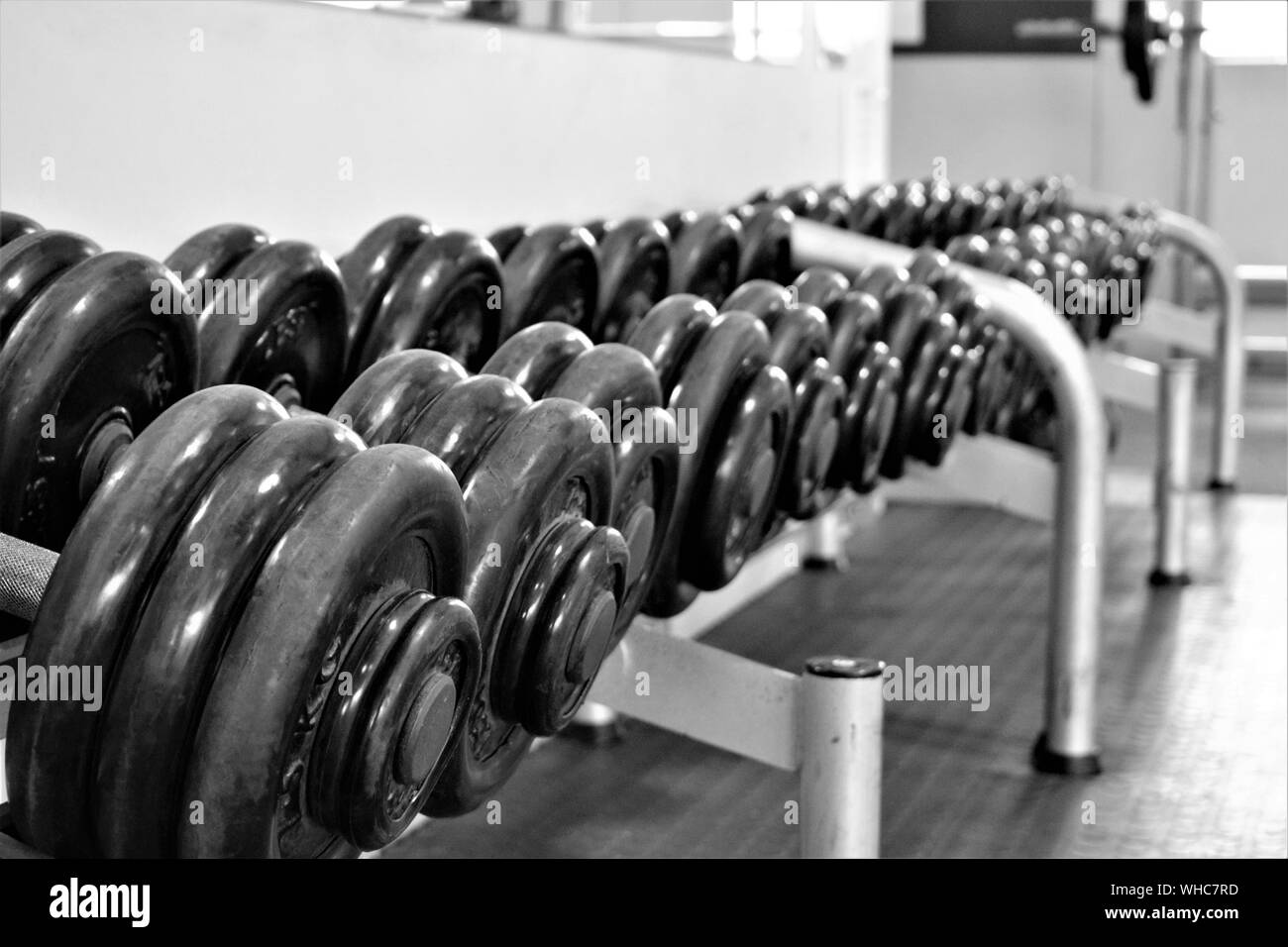 Close shot of gym weights on the shelf with blurred background in black ...