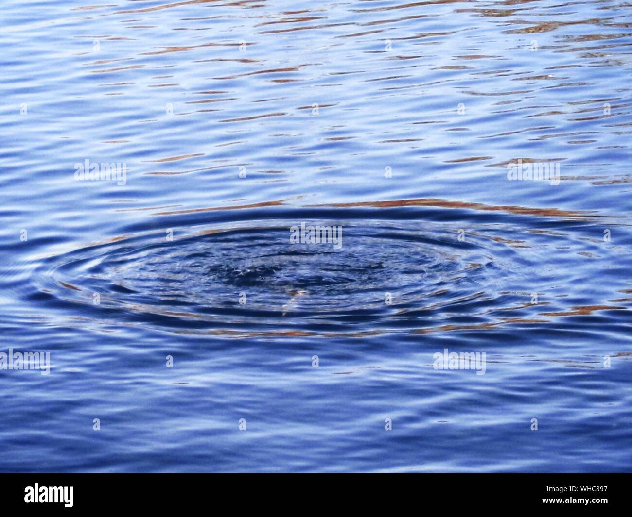Water Splash Frame High Resolution Stock Photography and Images - Alamy