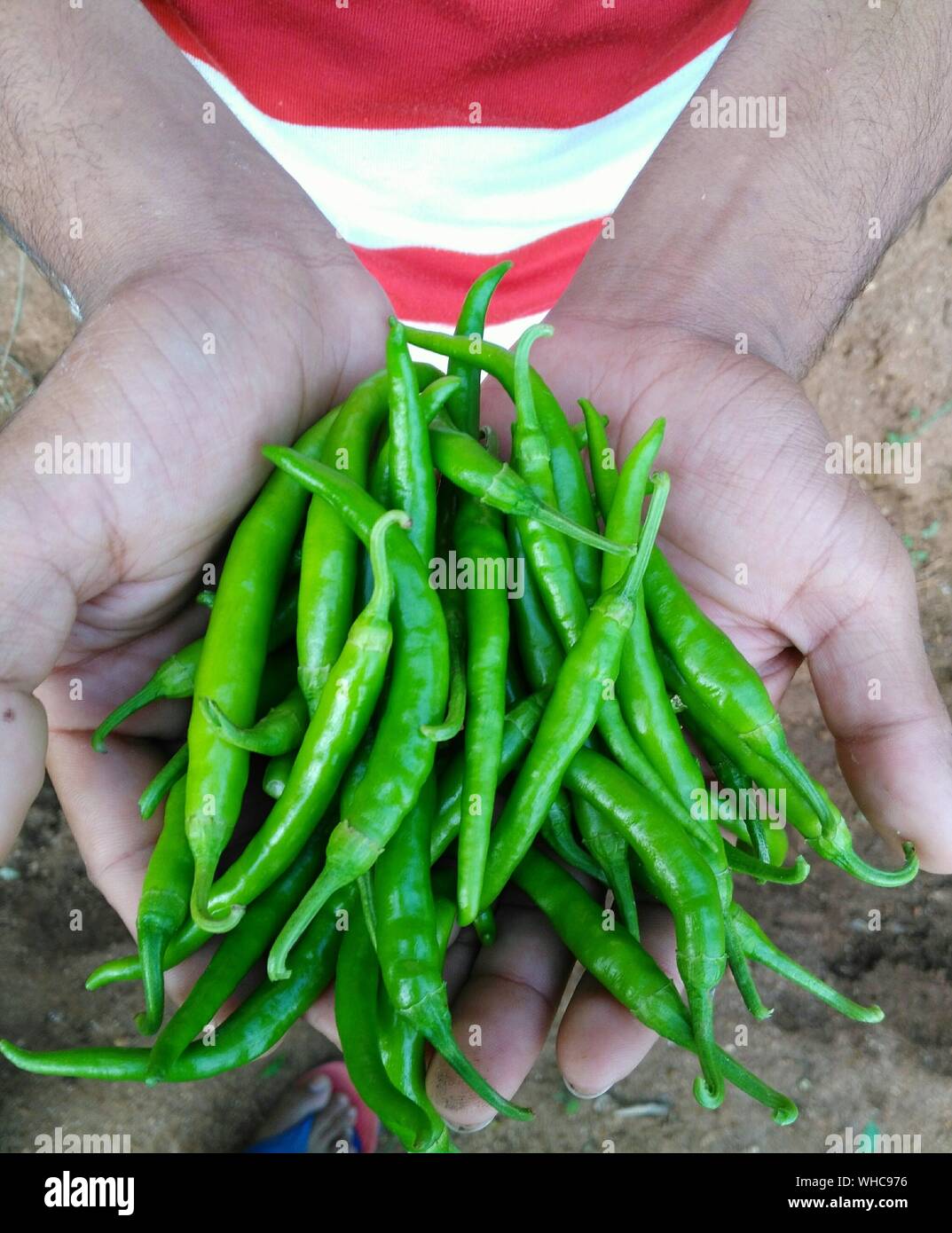 Man Eating Chili Pepper High Resolution Stock Photography and Images ...