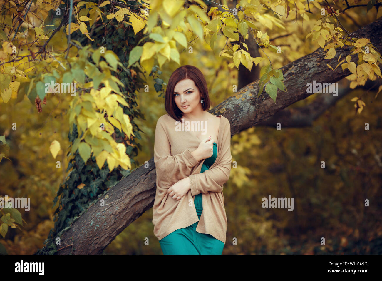 portrait of a beautiful young woman in a autumn park. pictures in warm ...