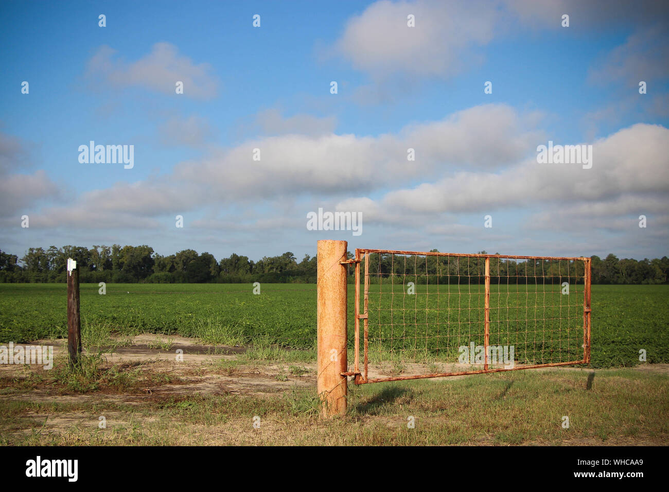 Metal gate in field hi-res stock photography and images - Alamy