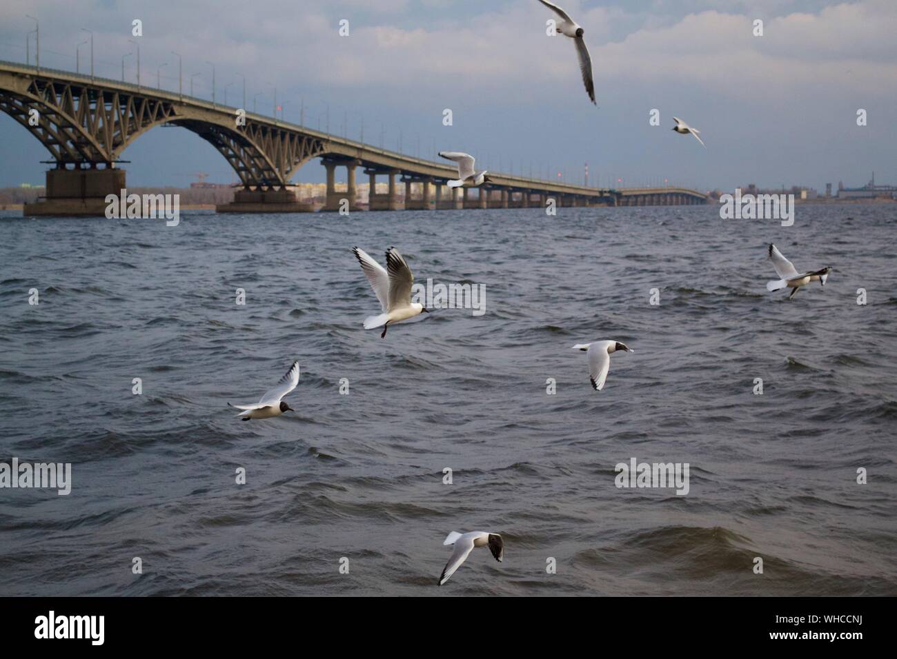 Birds and engineering hi-res stock photography and images - Alamy