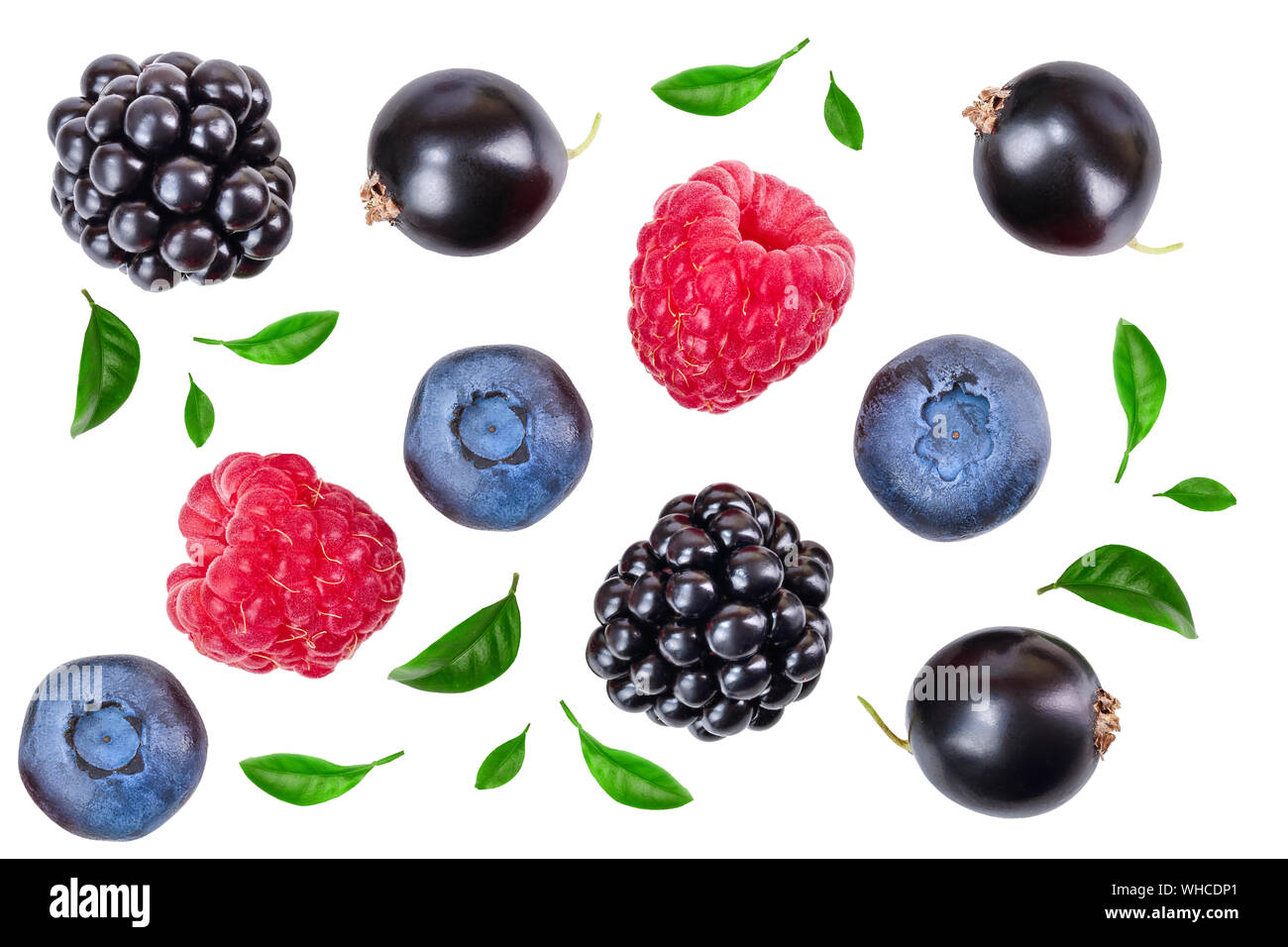 mix of blackberry blueberry raspberry isolated on white background. Top ...
