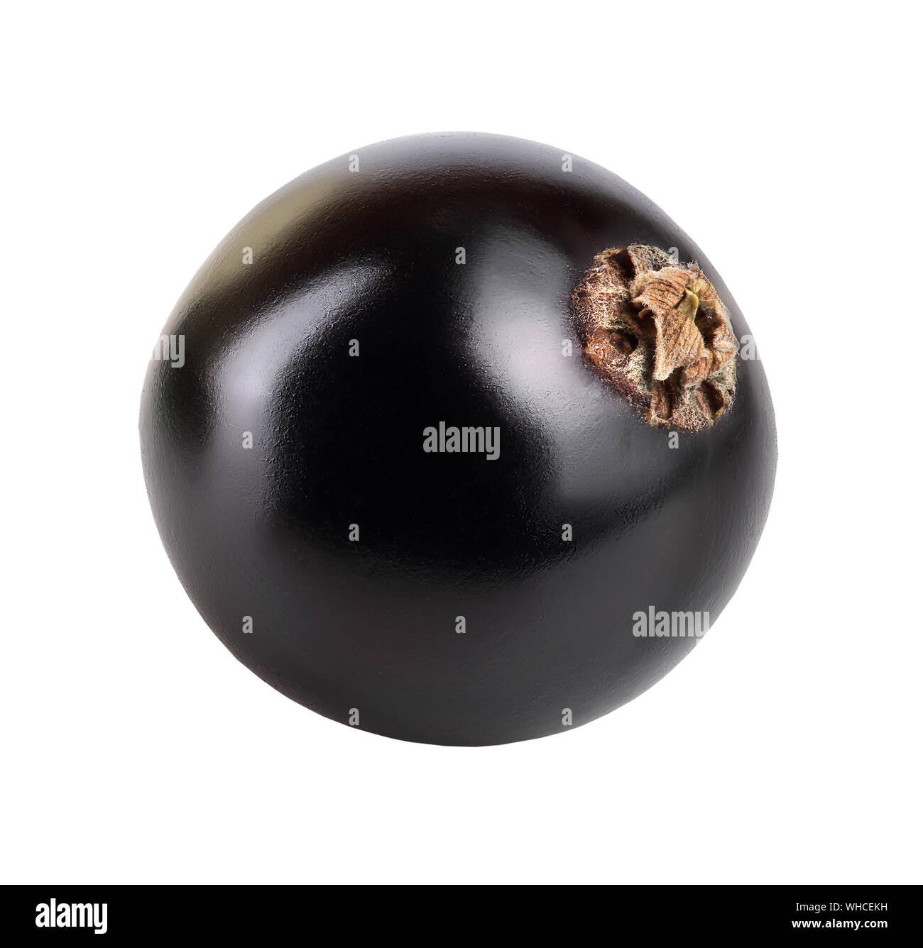 One black currant isolated on white background Stock Photo - Alamy