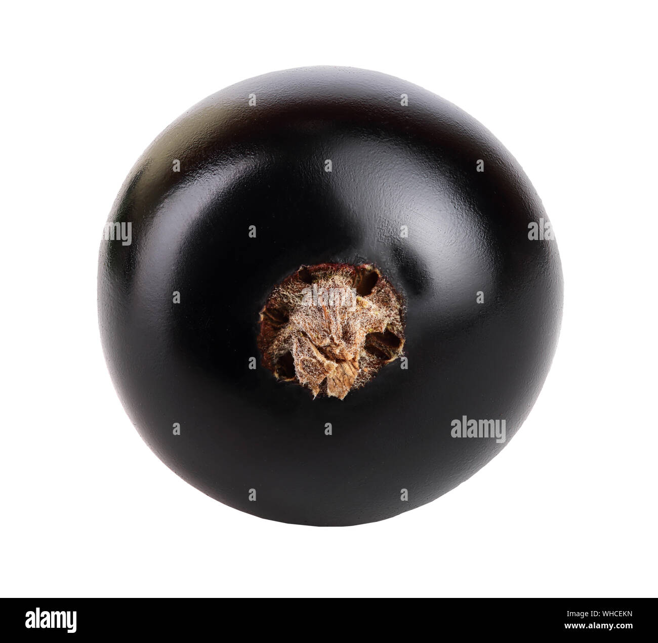 One black currant isolated on white background Stock Photo - Alamy