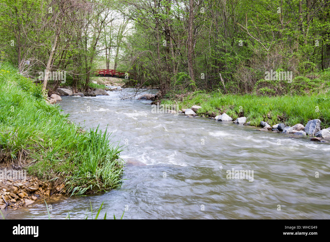 Seven mile bridge tree hi-res stock photography and images - Alamy