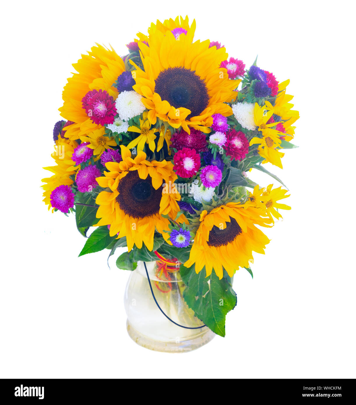 Black dahlia flower Cut Out Stock Images & Pictures - Alamy