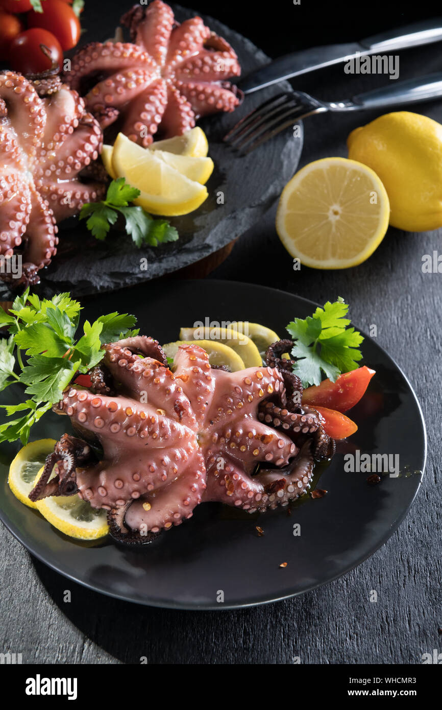 Long Legged Octopus High Resolution Stock Photography and Images - Alamy
