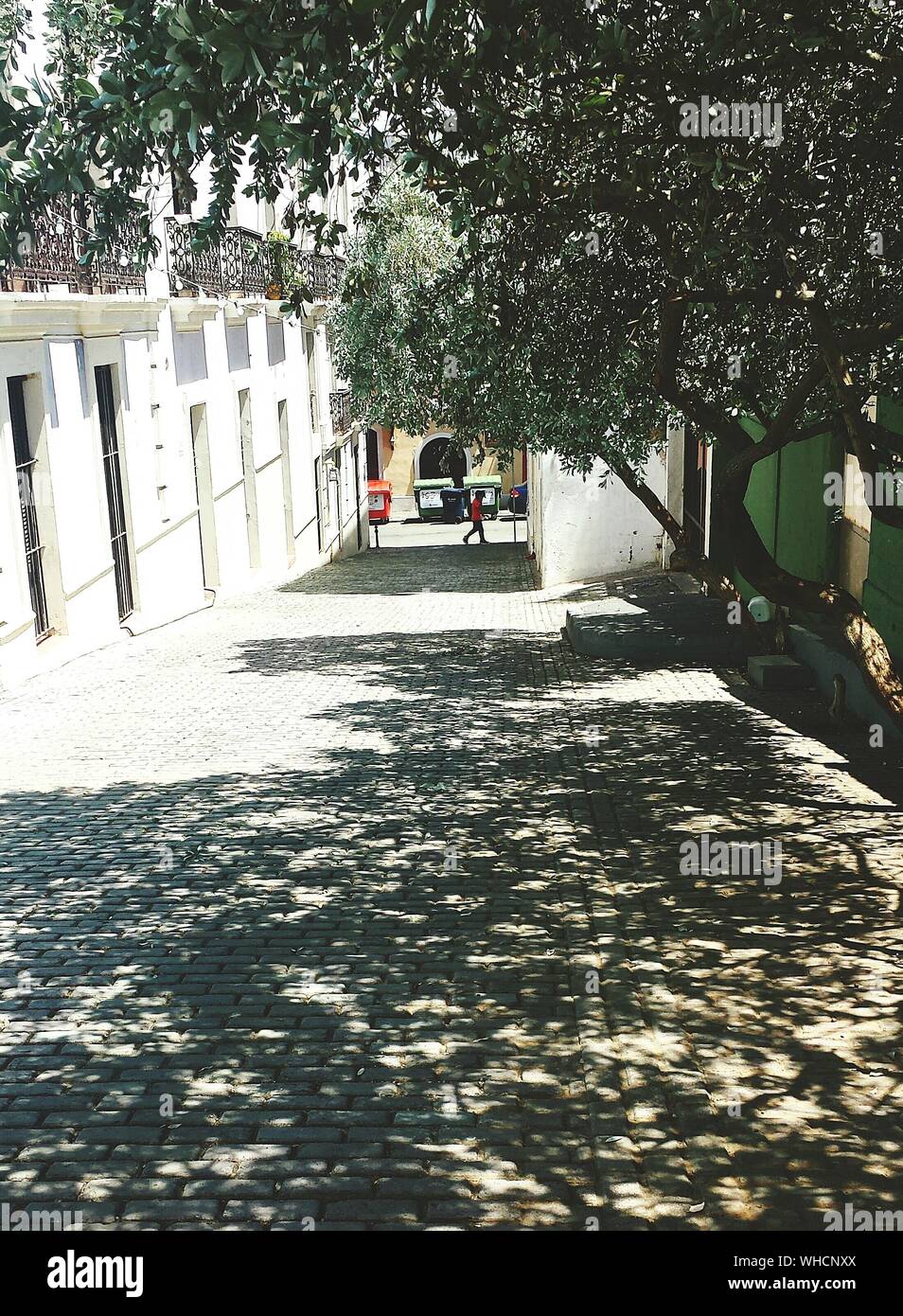 Shadow Of Trees On Pathway By Building Stock Photo - Alamy