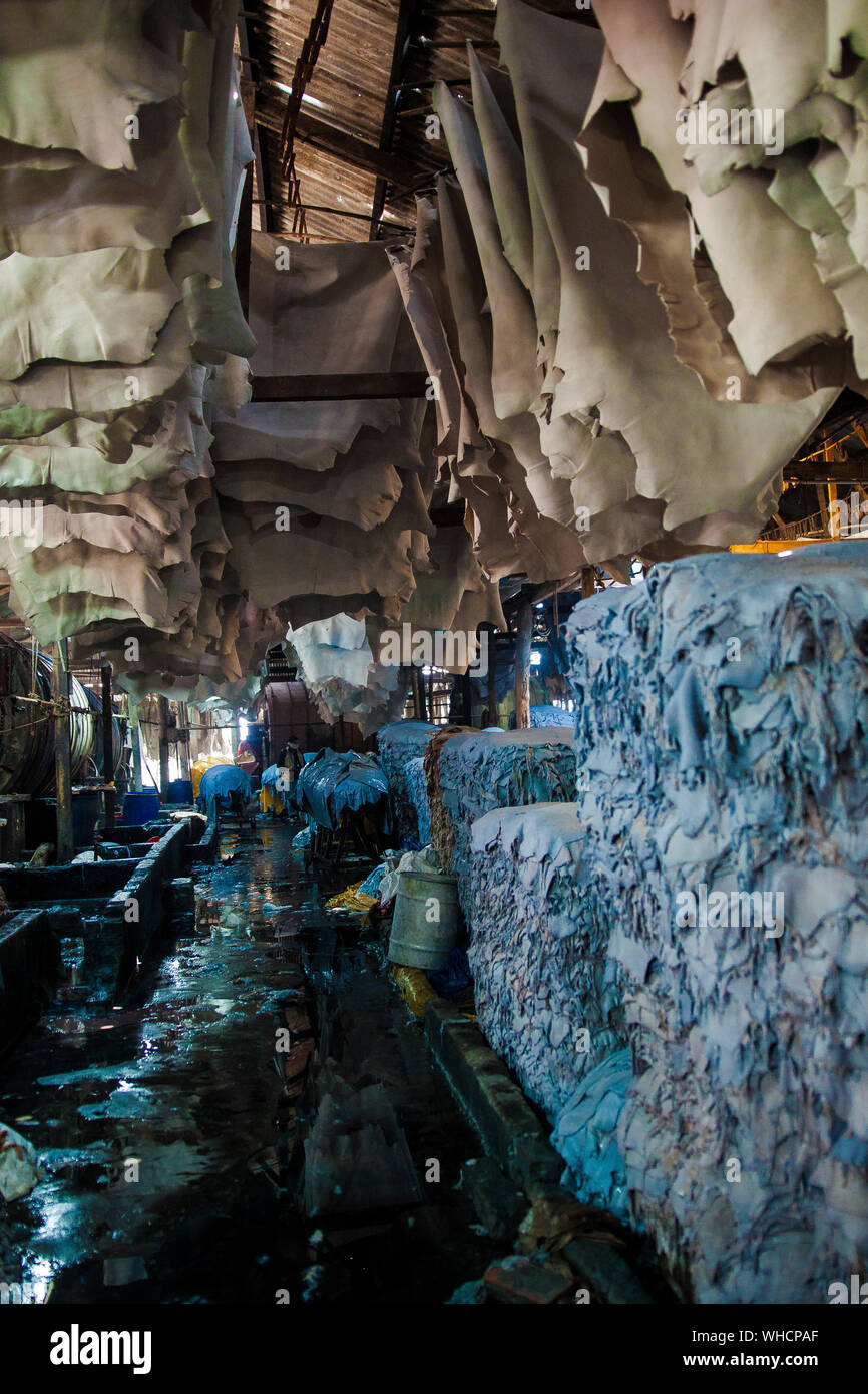 Animal skin drying hi-res stock photography and images - Alamy
