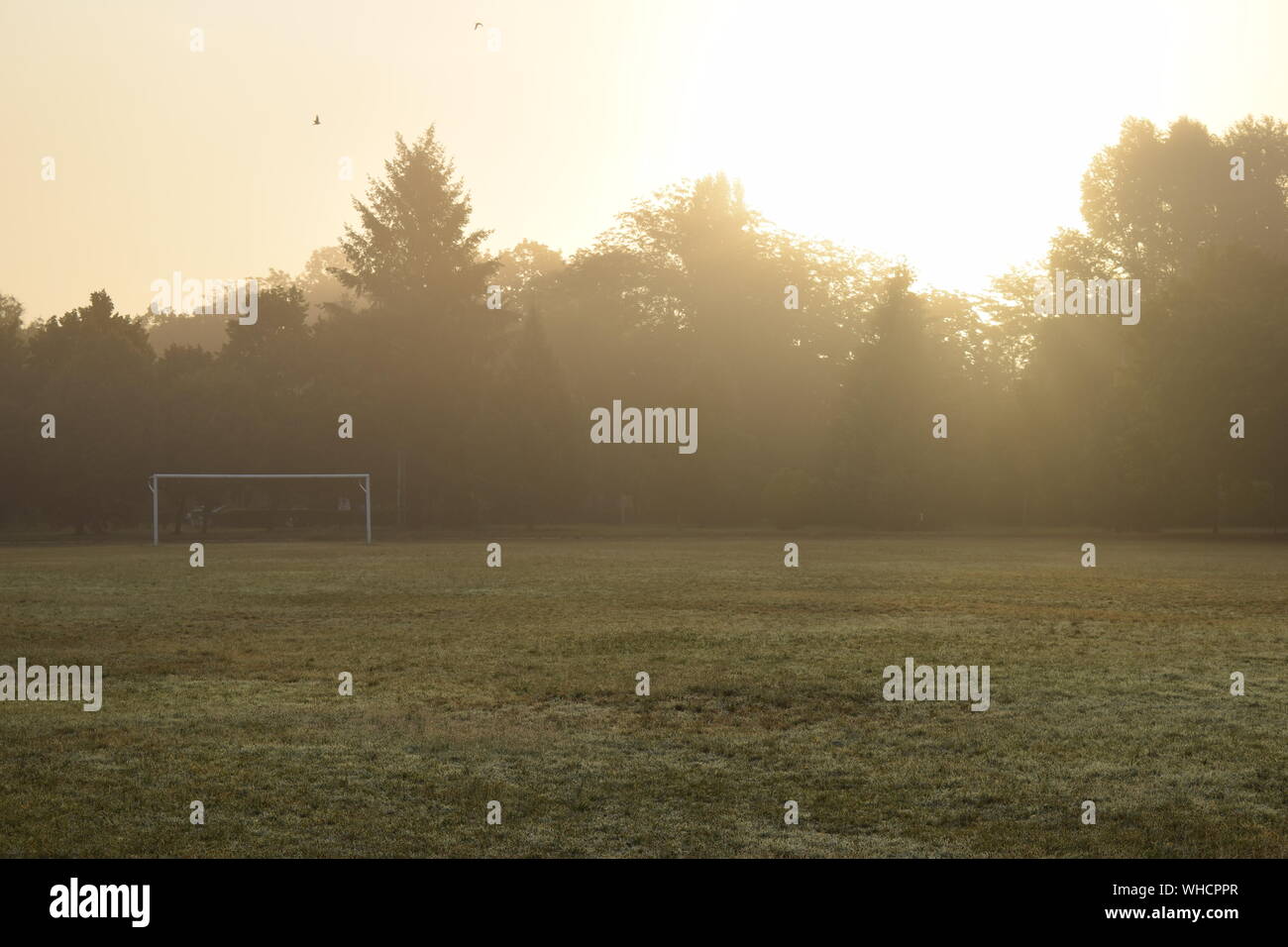 Empty landscape hi-res stock photography and images - Alamy