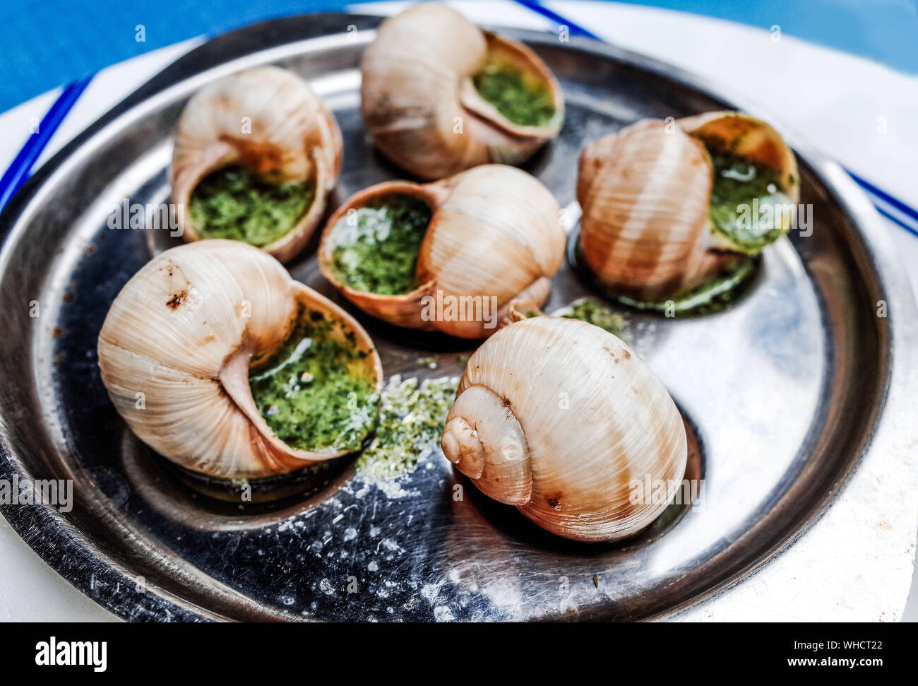 Garlic Snail High Resolution Stock Photography and Images - Alamy