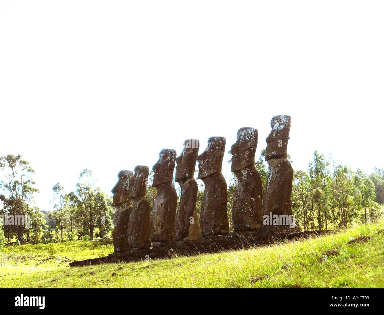 Moai statues ahu akivi hi-res stock photography and images - Alamy