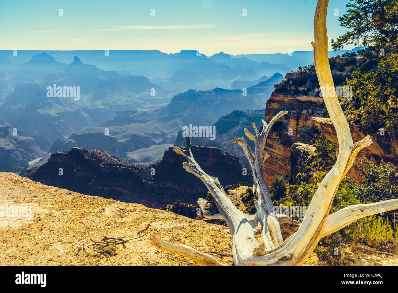 Grand Canyon view, Arizona, USA Stock Photo - Alamy