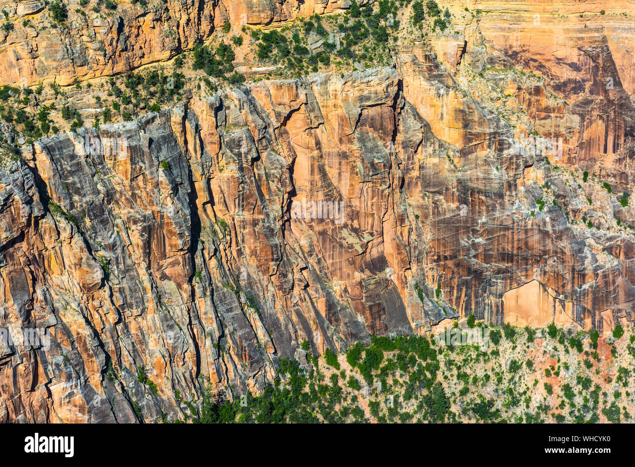 Grand Canyon view, Arizona, USA Stock Photo - Alamy