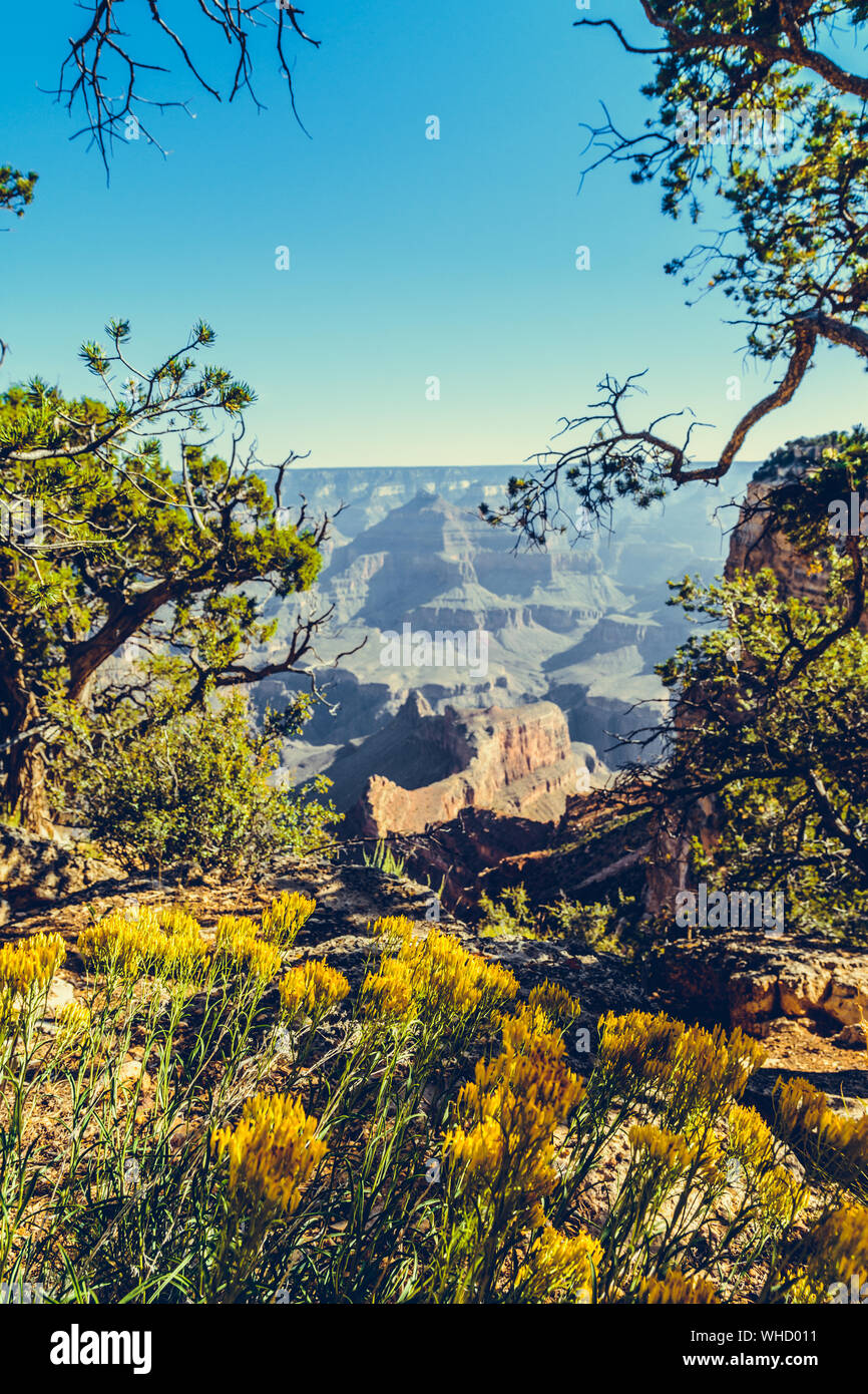 Grand Canyon view, Arizona, USA Stock Photo - Alamy