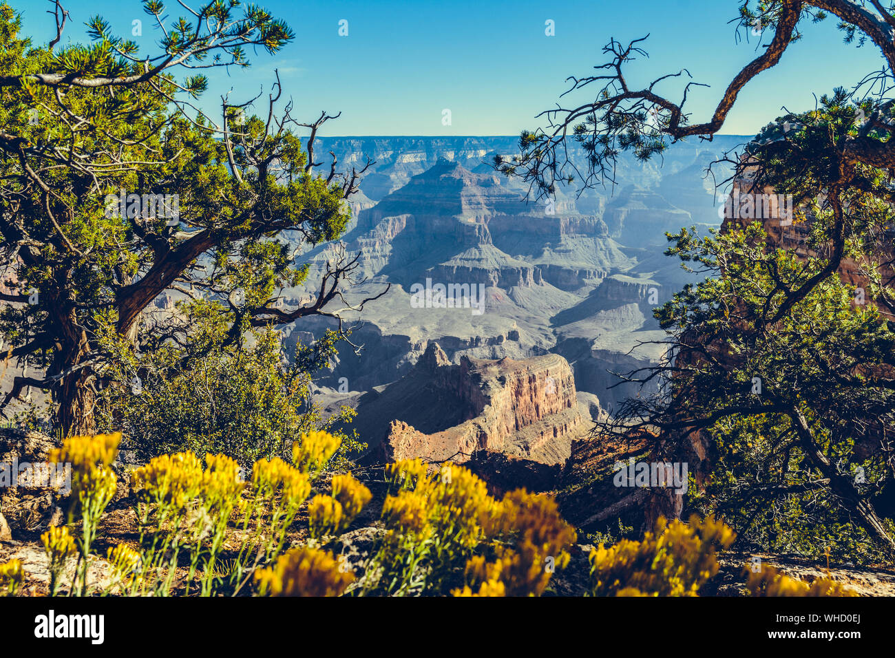 Grand Canyon view, Arizona, USA Stock Photo - Alamy