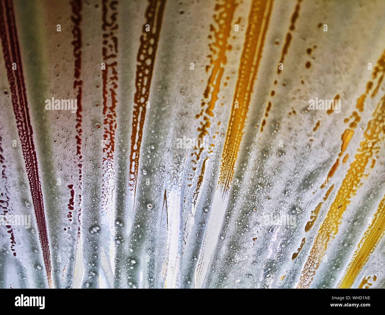 Soap and water on window hi-res stock photography and images - Alamy