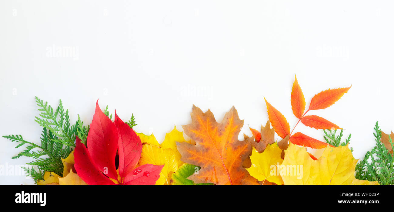 Natural fall leaves background Stock Photo - Alamy