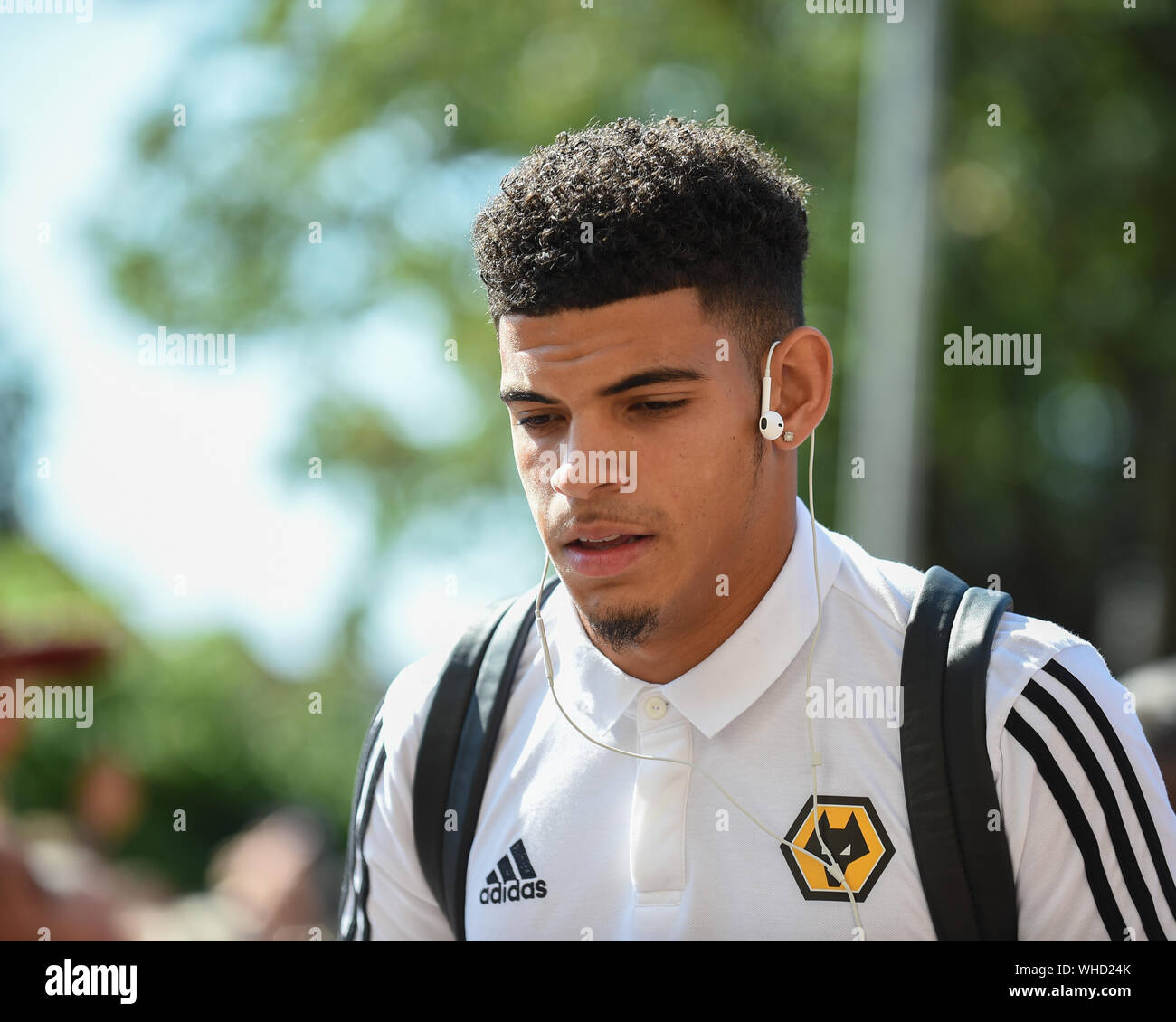 Morgan gibbs white wolves hi-res stock photography and images - Alamy