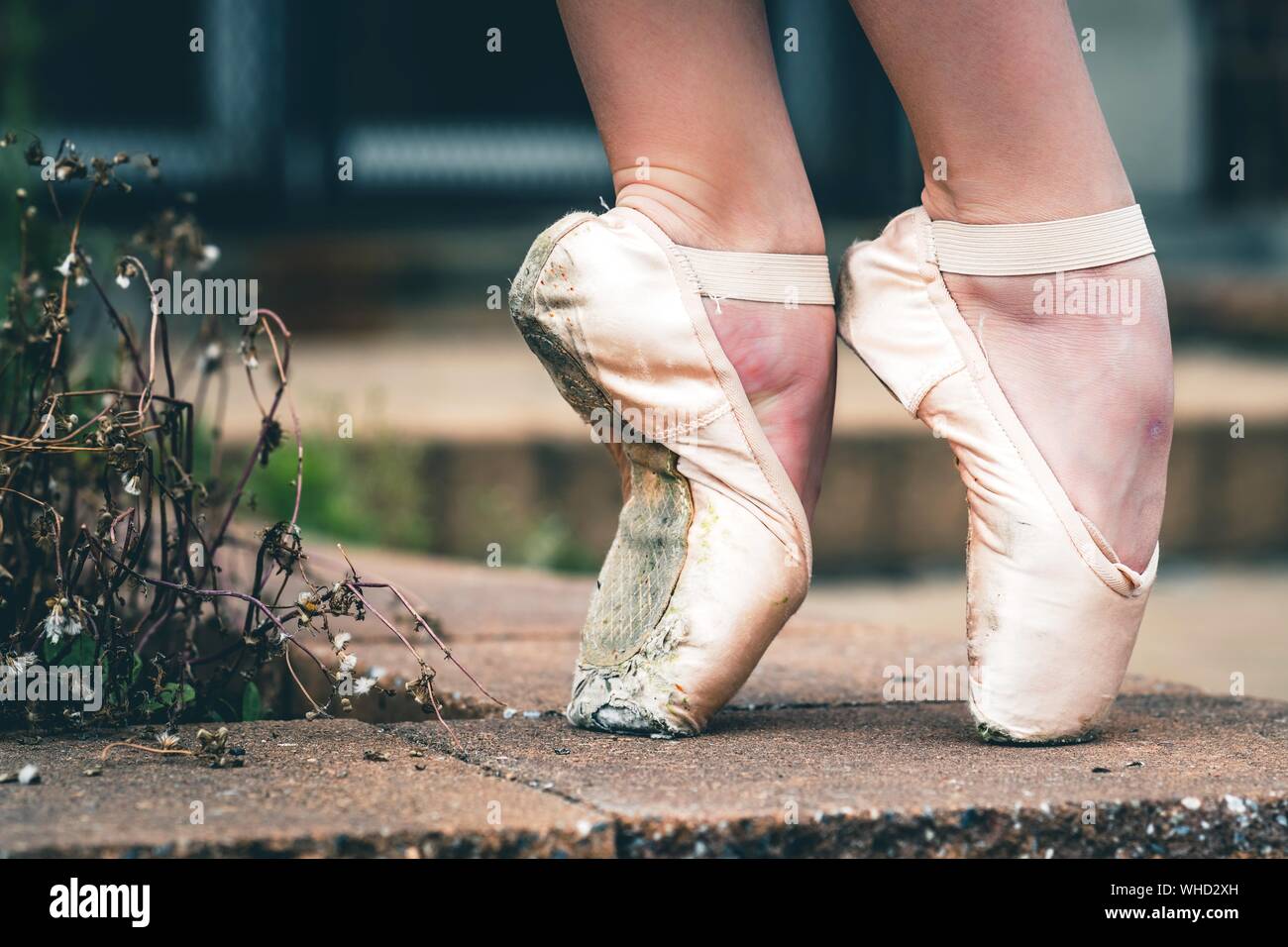 Tiptoeing High Resolution Stock Photography and Images - Alamy