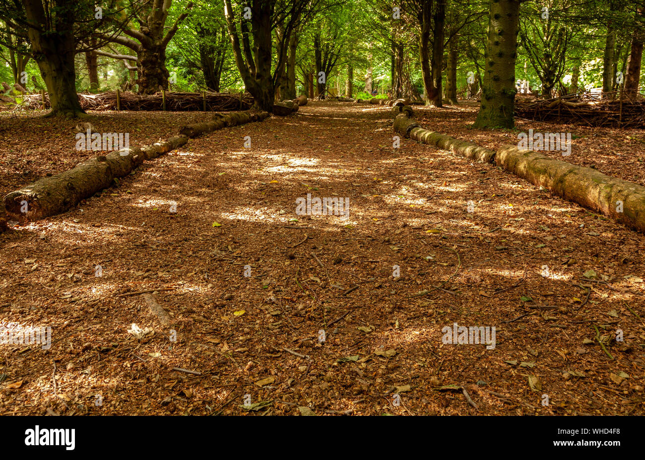 Wood patches hi-res stock photography and images - Alamy