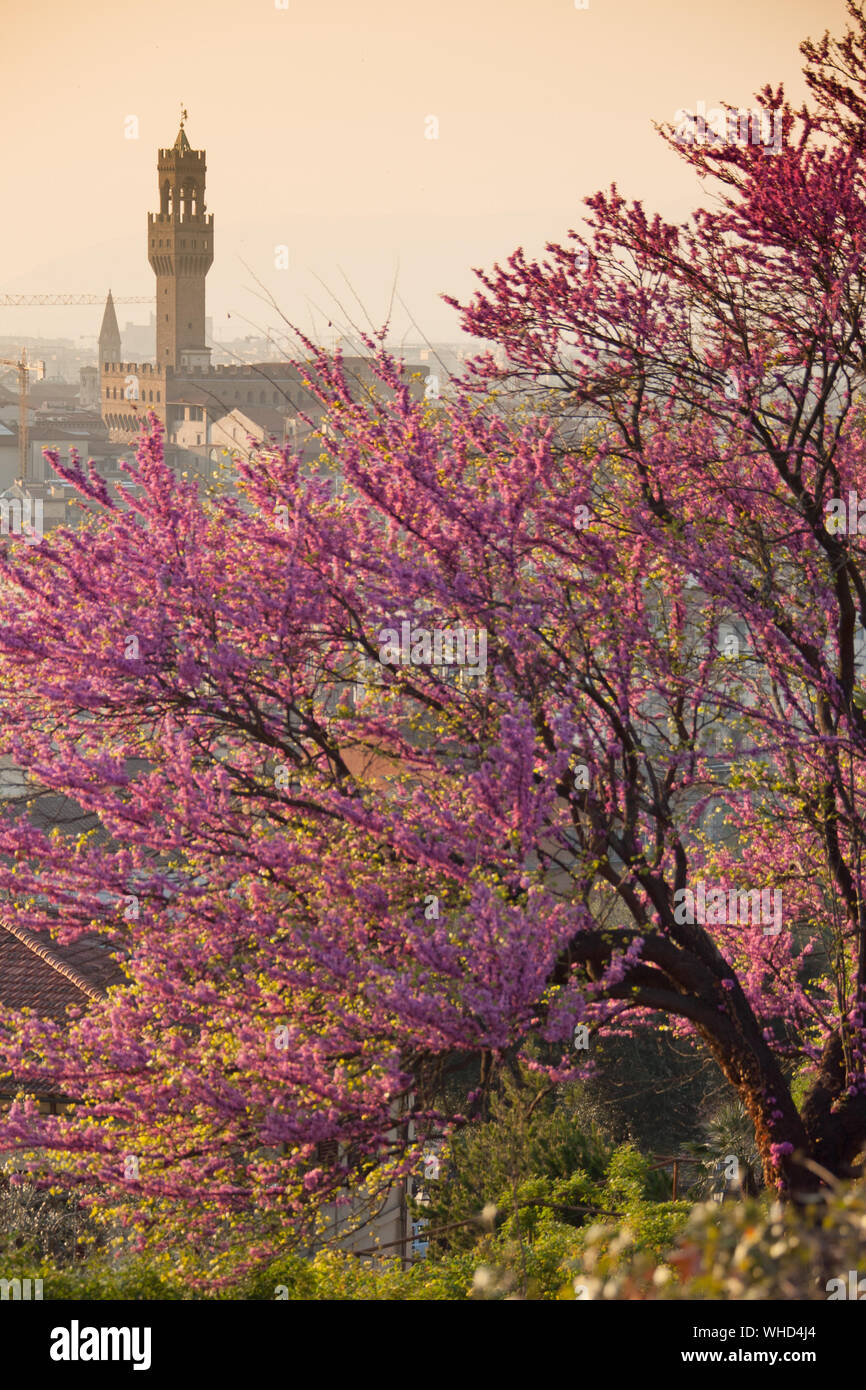 Pink lighthouse hi-res stock photography and images - Alamy