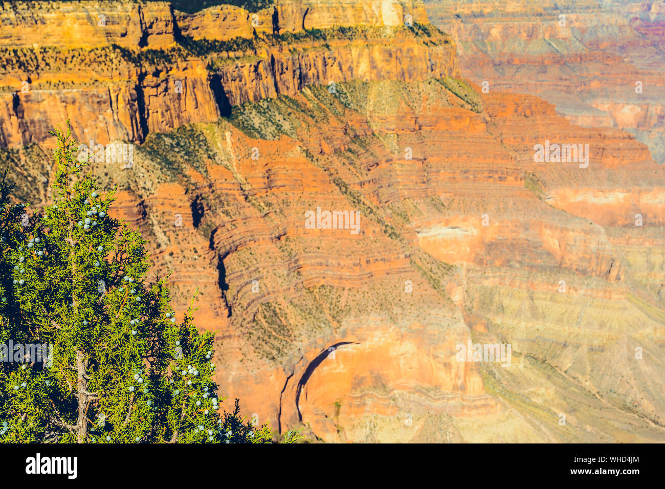 Grand Canyon view, Arizona, USA Stock Photo - Alamy