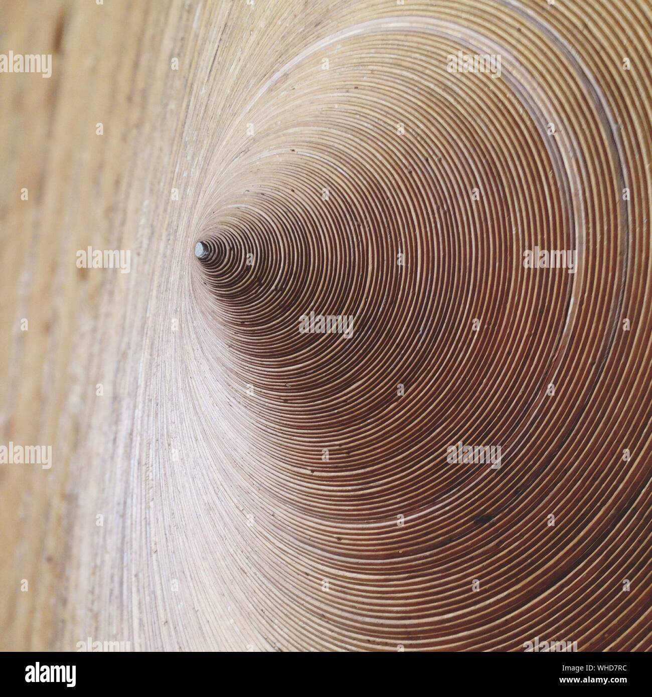 Concentric circle backgrounds hi-res stock photography and images - Alamy